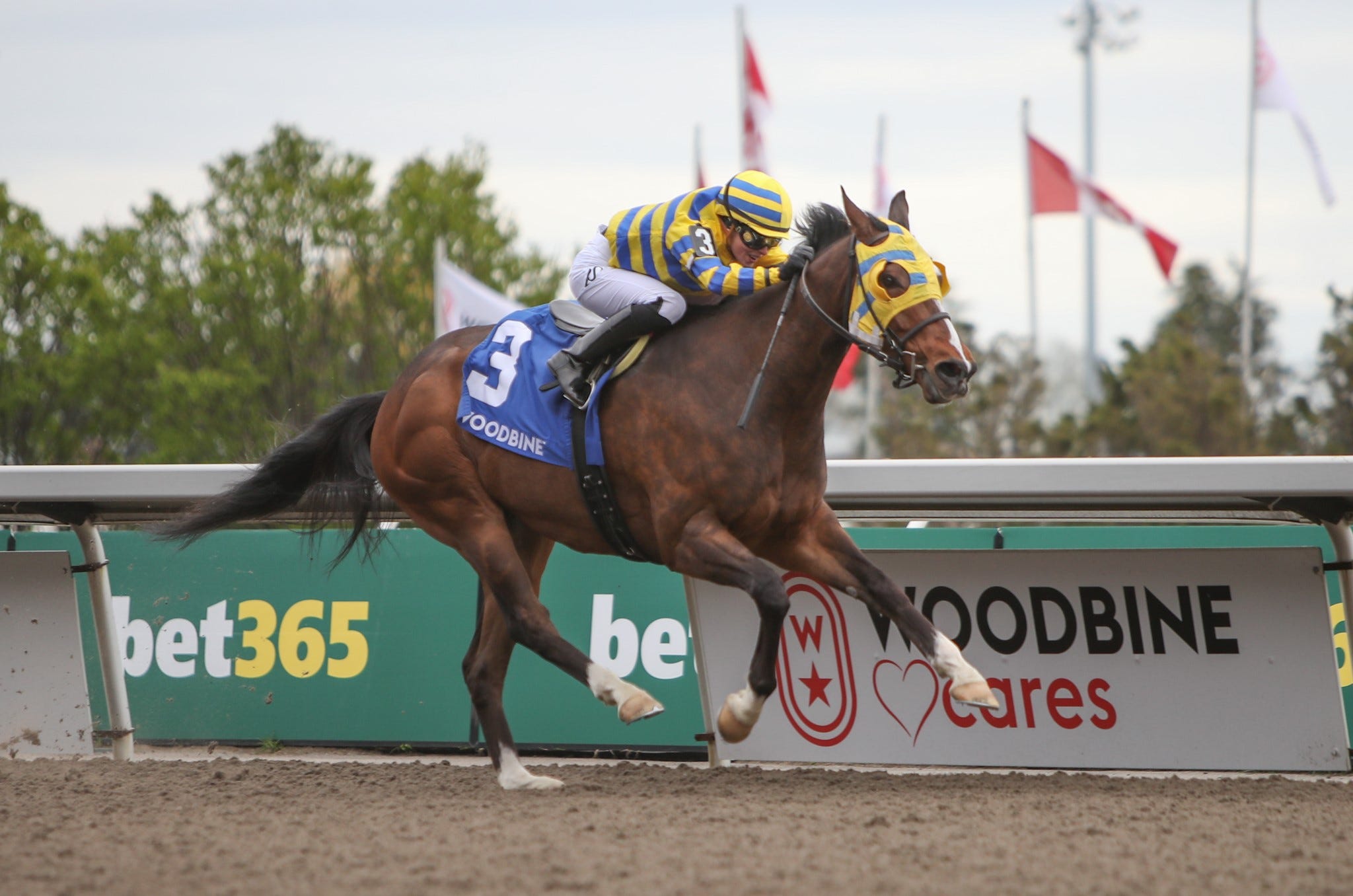 Patches O’Houlihan sets track record with Thorncliffe victory
